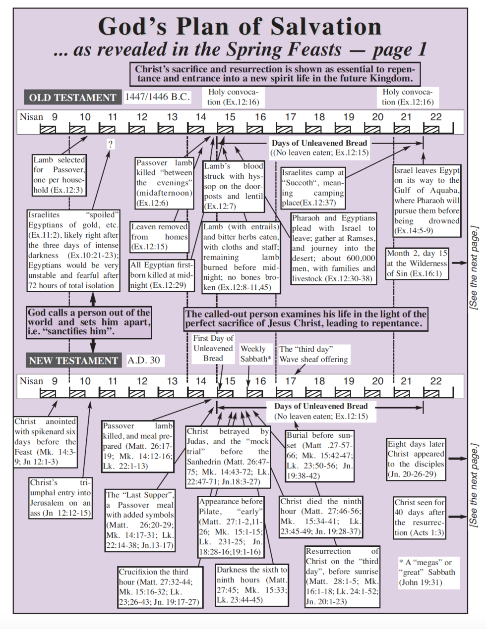 Passover Plan Diagram Page 1 | Churches at Home